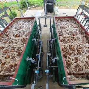 Palm Oil Mill Effluent (POME) Treatment | Bufflow Engineering